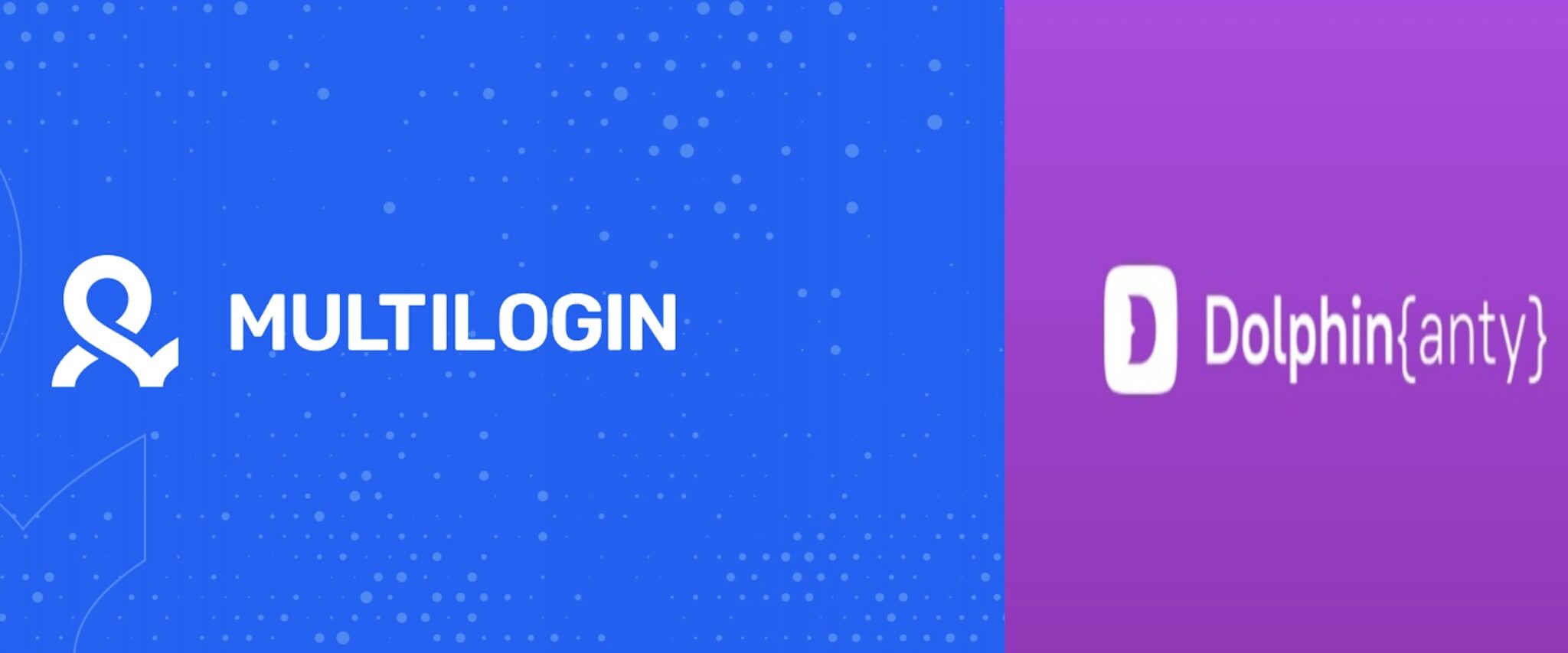 Dolphin Anty and Multilogin Browsers: Functionality and Business ...